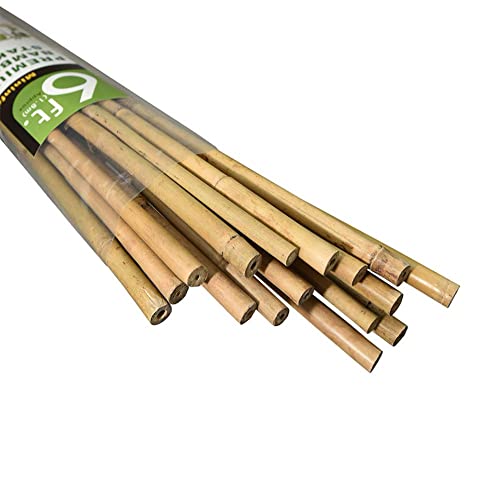 Mininfa Natural Bamboo Stakes 6 Feet, Eco-Friendly Garden Stakes, Plant Stakes Supports Climbing for Tomatoes, Trees, Beans, 20 Pack