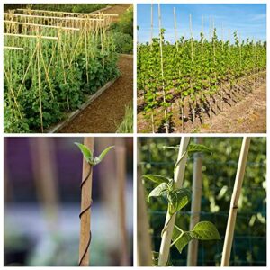 Mininfa Natural Bamboo Stakes 6 Feet, Eco-Friendly Garden Stakes, Plant Stakes Supports Climbing for Tomatoes, Trees, Beans, 20 Pack