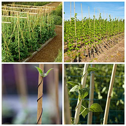 Mininfa Natural Bamboo Stakes 6 Feet, Eco-Friendly Garden Stakes, Plant Stakes Supports Climbing for Tomatoes, Trees, Beans, 20 Pack