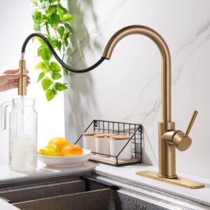 Gold Kitchen Sink Faucets Pull Down 2 Mode Sprayer with Deck Plate, Brushed Brass Gold