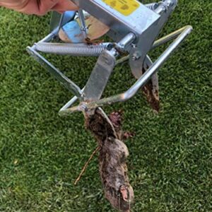 Garsum Mole Traps That Kill, EasySet Vole Gopher Trap for Lawns, Reusable Quick and Clean Kill,1 Eliminator Scissor Trap