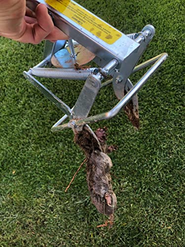 Garsum Mole Traps That Kill, EasySet Vole Gopher Trap for Lawns, Reusable Quick and Clean Kill,1 Eliminator Scissor Trap