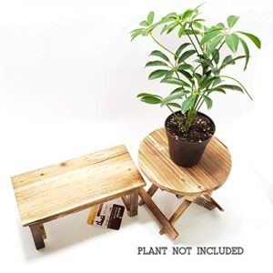 Burned Cedar Wood Bonsai Tree Flower and Plant Stands Bundle with Rectangular and Circular Stand