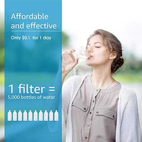 AQUACREST AP5527 Reverse Osmosis Pre and Post Water Filter Cartridge, Replacement for Aqua-Pure AP5527, 5598101, AP-RO5500, APRO5500 Reverse Osmosis System (1 Set), Model No.WF59.