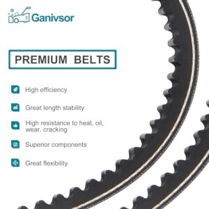 Ganivsor Replacement Snowthrowers Drive Belt for MTD Troy-Bilt Storm 754-04201 954-04201 2410 2620 2840 3090