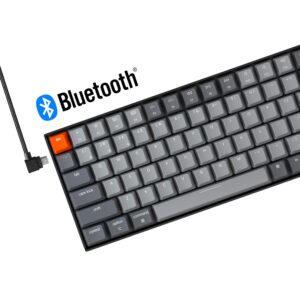 Keychron K4 96% Layout 100 Keys Wireless Bluetooth 5.1/Wired USB Mechanical Gaming Keyboard with Gateron G Pro Brown Switch White LED Backlight N-Key Rollover for Mac Windows PC-Version 2