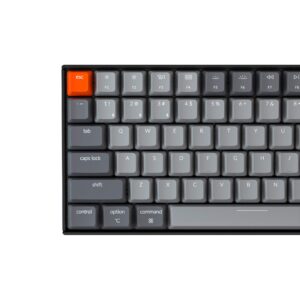 Keychron K4 96% Layout 100 Keys Wireless Bluetooth 5.1/Wired USB Mechanical Gaming Keyboard with Gateron G Pro Brown Switch White LED Backlight N-Key Rollover for Mac Windows PC-Version 2