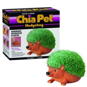 chia pet hedgehog decorative pottery planter with seed pack, decorative pottery planter, easy to do and fun to grow, novelty gift, perfect for any occasion