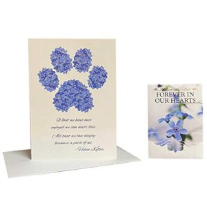 pet sympathy card & forget me not seed packet memorial gift set