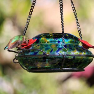 Nature's Way Bird Products WWGHF7 Hand Blown Spring Rain Illuminated Hummingbird Dish Feeder