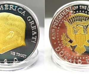 Donald Trump 2020 Challenge Coin Keep America Great United States Presidential Re-Election Campaign Gold Plated Collectible Eagle Coins with Hang Tag and Enclosure