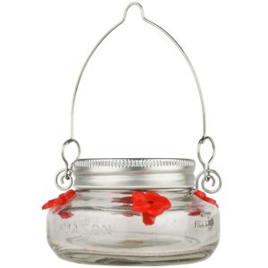 nature's way bird products mjf1 nature's way mason jar hummingbird dish feeder, clear 4" dia.