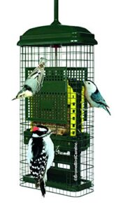 squirrel buster suet squirrel-proof suet bird feeder w/2 suet cake trays, 2 crumb ports, mess-free suet loading,green