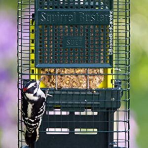 Squirrel Buster Suet Squirrel-proof Suet Bird Feeder w/2 Suet Cake Trays, 2 Crumb Ports, Mess-free Suet Loading,Green