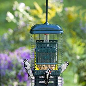 Squirrel Buster Suet Squirrel-proof Suet Bird Feeder w/2 Suet Cake Trays, 2 Crumb Ports, Mess-free Suet Loading,Green