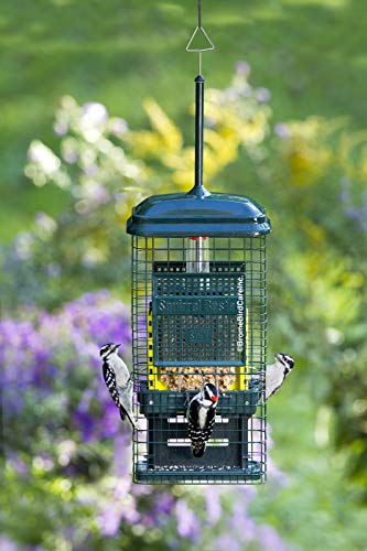 Squirrel Buster Suet Squirrel-proof Suet Bird Feeder w/2 Suet Cake Trays, 2 Crumb Ports, Mess-free Suet Loading,Green