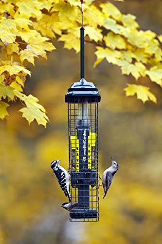 Squirrel Buster Suet Squirrel-proof Suet Bird Feeder w/2 Suet Cake Trays, 2 Crumb Ports, Mess-free Suet Loading,Green