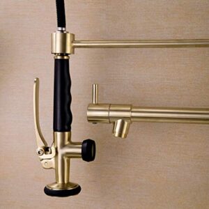 EKRTE Brushed Gold Kitchen Faucet, Commercial Style Pre-Rinse Kitchen Faucets with Pull Down Sprayer, Spot Free Single Handle Kitchen Sink Faucet