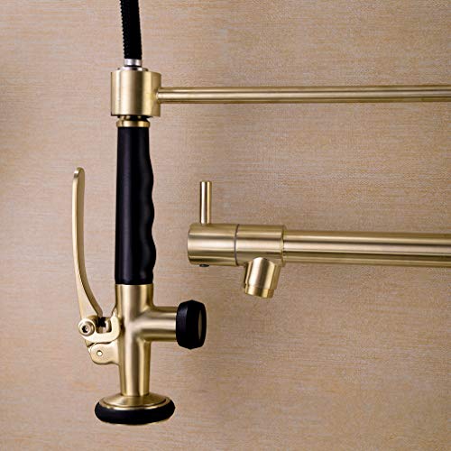 EKRTE Brushed Gold Kitchen Faucet, Commercial Style Pre-Rinse Kitchen Faucets with Pull Down Sprayer, Spot Free Single Handle Kitchen Sink Faucet