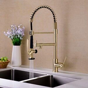 EKRTE Brushed Gold Kitchen Faucet, Commercial Style Pre-Rinse Kitchen Faucets with Pull Down Sprayer, Spot Free Single Handle Kitchen Sink Faucet