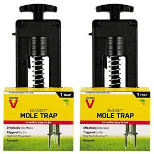 DEADSET MOLE TRAP