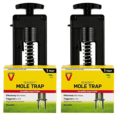 DEADSET MOLE TRAP