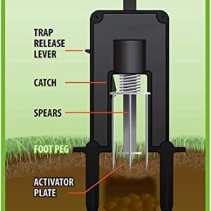 DEADSET MOLE TRAP