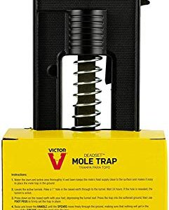 DEADSET MOLE TRAP