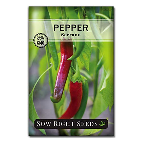 Sow Right Seeds - Serrano Hot Pepper Seed for Planting - Non-GMO Heirloom Packet Instructions to Plant an Outdoor Home Vegetable Garden - Productive and Hot Chili Peppers - Hydroponics Growing(1)