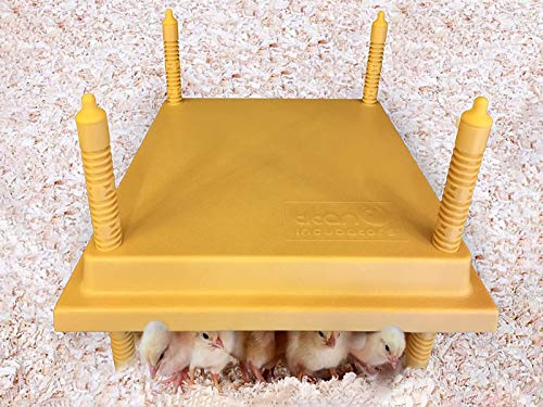 Titan Incubators Chick Heating Plate/Brooder Hen – Heat Lamp Replacement - Up to 25 Chicks – 12” x 12”