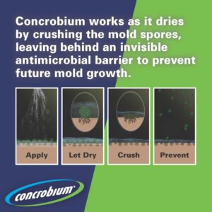 Concrobium 200080 Mold Control Fogger Intake Filter