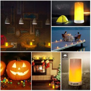 LED Flame Effect Light,USB Rechargeable Outdoor Flame Table Lamp Waterproof Dimmable 4 Modes Lantern,Flame Lamp with Gravity Sensing Effect IR Wireless Remote&Timer,For Halloween Room Party Bar Decor