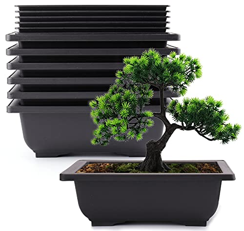 Yesland 6 Pack Bonsai Training Pots - 9 Inches Classic Deep Humidity Trays with Built in Mesh - Plastic Square Pot & Bonsai Plants Growing Pots