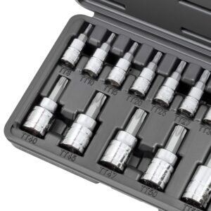 CARBYNE Tamper Proof Torx (aka Tamper Torx or Security Torx) Bit Socket Set - 14 Piece, T-8 to T-60 Sizes, S2 Steel Bits, CRV Sockets | 1/4-inch, 3/8-inch & 1/2-inch Drive