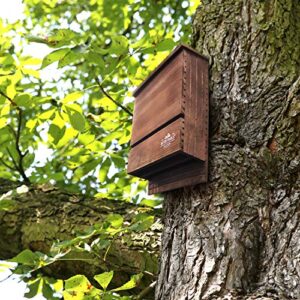 Outer Trails Two-Chamber Bat House - Brown