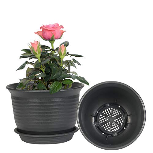 ZOUTOG 𝟏𝟓 𝑷𝒂𝒄𝒌 𝑷𝒍𝒂𝒏𝒕 𝑷𝒐𝒕𝒔, 6 inches Plastic Planters with Drainage Hole and Tray, Plants Not Included