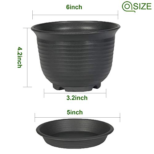 ZOUTOG 𝟏𝟓 𝑷𝒂𝒄𝒌 𝑷𝒍𝒂𝒏𝒕 𝑷𝒐𝒕𝒔, 6 inches Plastic Planters with Drainage Hole and Tray, Plants Not Included