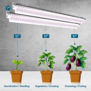 Barrina Grow Light, 96W(4 x 24W, 600W Equivalent), 2ft T8, Super Bright, Full Spectrum Sunlight Plant Light, LED Grow Light Strips, Grow Light Bulbs for Indoor Plants, 4-Pack