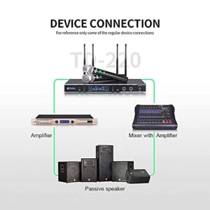 D Debra Audio New Model TD-220 Professional UHF True Diversity 2 Channel Wireless Microphones System with 2 Cordless Handheld Mic