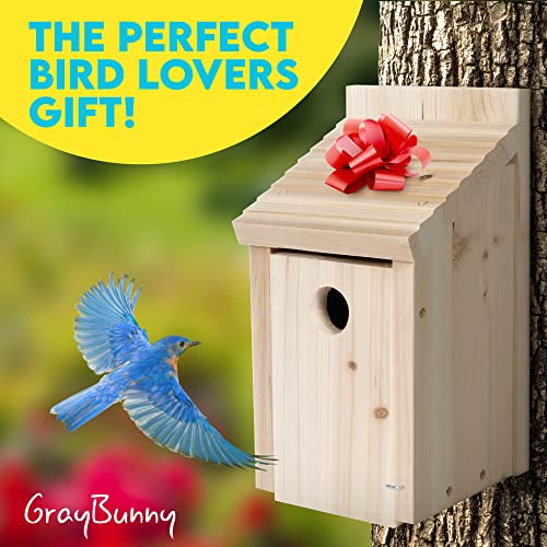 Wooden Bird House for Outside - Bluebird Birdhouse for Outdoors for Finch Cardinals, Hanging Bird Houses for Outdoors Clearance with Fledging Grooves, Secure Latch, Air Vents - Weatherproof Birdhouses