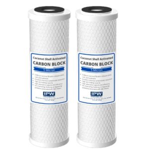 2-Pack compatible for WaterPur CCI-10-CLW Activated Carbon Block Filter - Universal 10 inch Filter for WaterPur Clear Water Filter Housing by IPW Industries Inc.