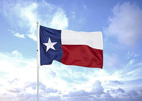 Texas Flag 4x6 Heavy Duty Outdoor - Embroidered Sewn Heavy Duty 100% Nylon Flags Vivid Color - Brass Grommets and 4 Stitch Hemming USA Flag