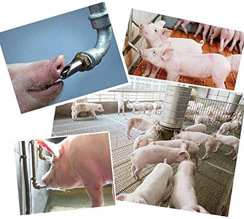 Golden Pearl 5pc 1/2 NPT Stainless Steel Automatic Pig Nipple Water Drinker Feeder Waterer for Piglets