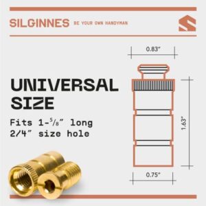 Silginnes Pool Cover Anchors Concrete and Pavers Deck 10 Pack - Universal Size Fits 3/4" Hole - Best for Pool Safety Cover Installation - Durable Brass Pool Cover Anchors and Head Screw Bolts (10)