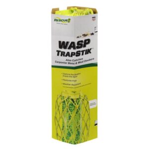 rescue insect trap 1 pk6