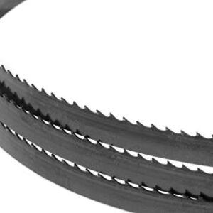 WEN BB7212 72" Woodcutting Bandsaw Blade with 14 TPI & 1/8" Width