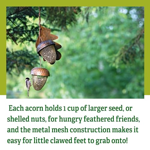 Gardener's Supply Company Acorn Bird Feeder | Sturdy Squirrel Proof Outdoor Garden Hanging Wild Bird Feeders | 2 Acorn Feeder, Metal Leaf & Hanger - Holds 2 Cups of Seed