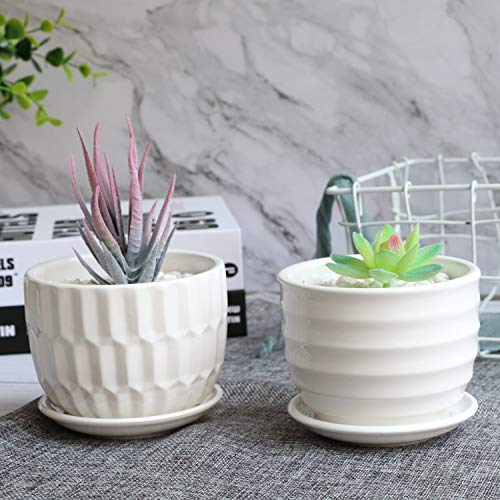 Brajttt Flower Pots, 4 Inch Cylinder Ceramic Plant Pots with Connected Saucer, Mini Ceramic Planters for Succulent and Little Snake Plants (6 Pack, White)