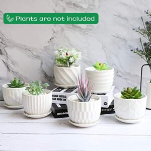 Brajttt Flower Pots, 4 Inch Cylinder Ceramic Plant Pots with Connected Saucer, Mini Ceramic Planters for Succulent and Little Snake Plants (6 Pack, White)