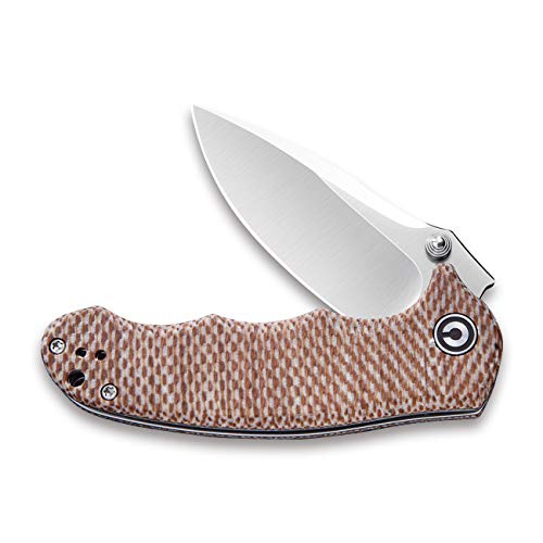 CIVIVI Hooligan Small Pocket Knife - Folding Knife with 2.98” D2 Blade Micarta Handles,Hunting Outdoor Knife with Reversible Clip for men C913C (Snakeskin)